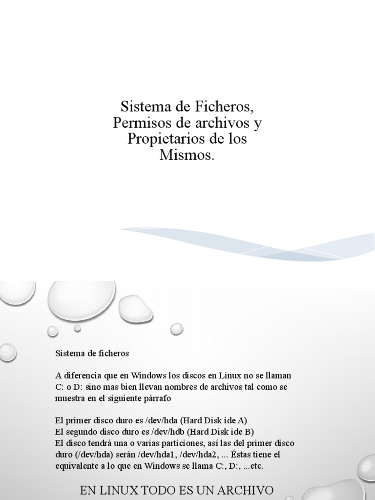 Permisos En Linux Pdf Archivo De Computadora Usuario Informática