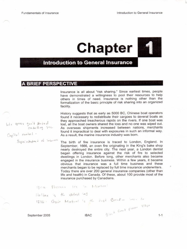 RIBO - Chapter 1 Notes | PDF