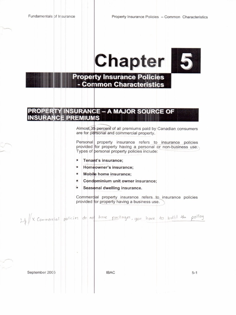 RIBO - Chapter 5 Notes | PDF