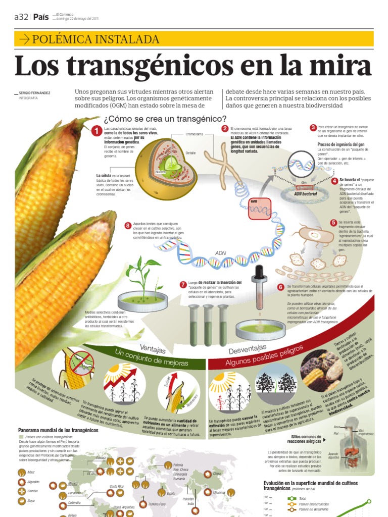 Los transgénicos en la mira | Genetically Modified Organism | Gene
