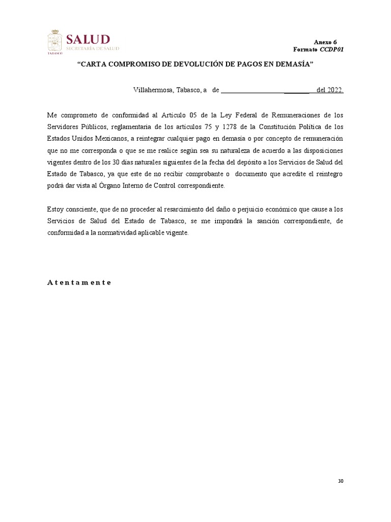 Pago Demasia Suplencia | PDF