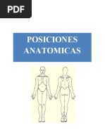 Guía de Posiciones Anatómicas en Medicina | PDF | Enfermería | Medicina ...