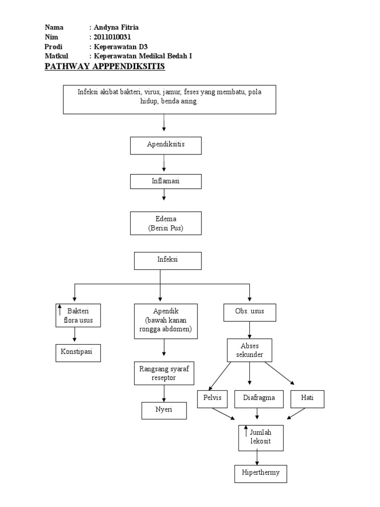 Andyna Fitria (2011010034) - Pathway-Appendicitis | PDF