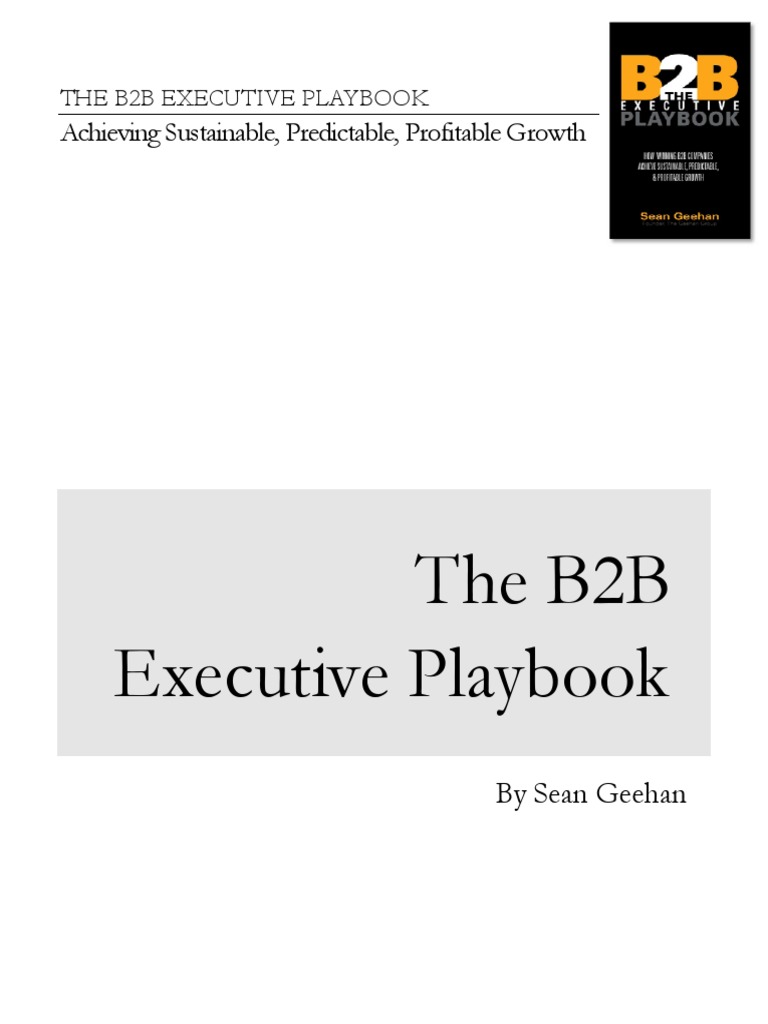 The B2B Executive Playbook: Achieving Sustainable, Predictable ...