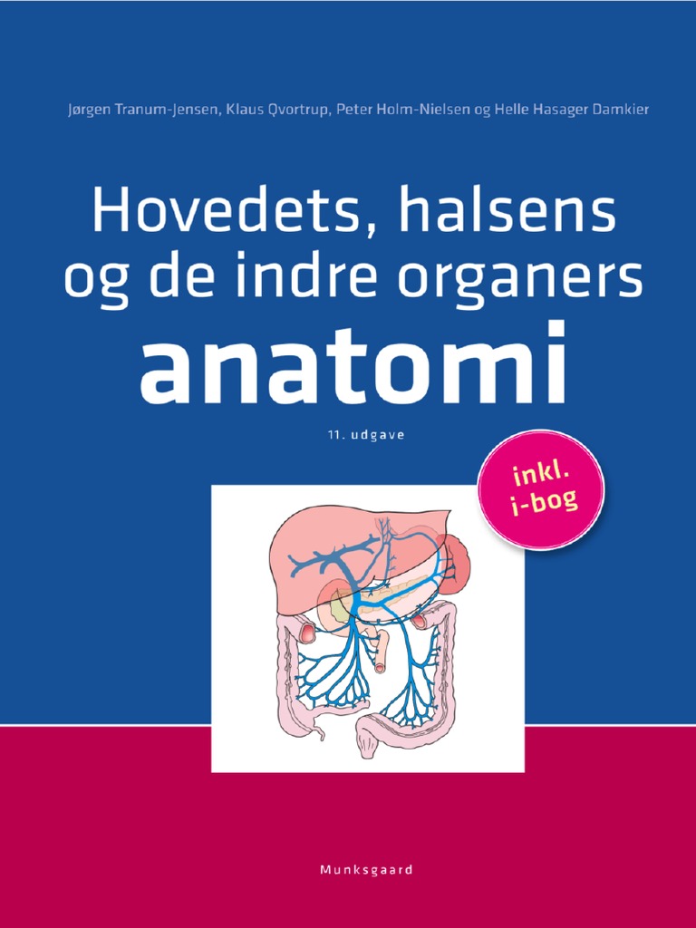 Hovedets, Halsens Og de Indre Organers Anatomi | PDF