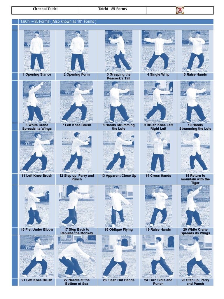 Chennai Taichi - Master the 85 Forms in Tai Chi | PDF | Tai Chi ...