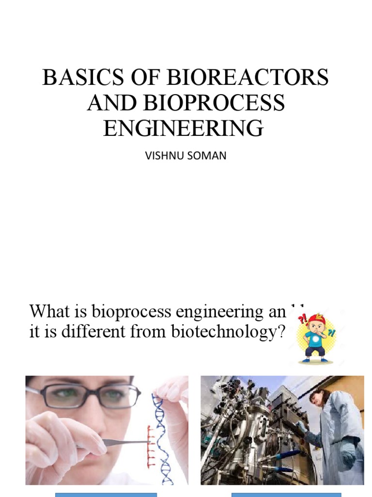 Basics of Bioreactors and Bioprocess Engineering | PDF | Process ...