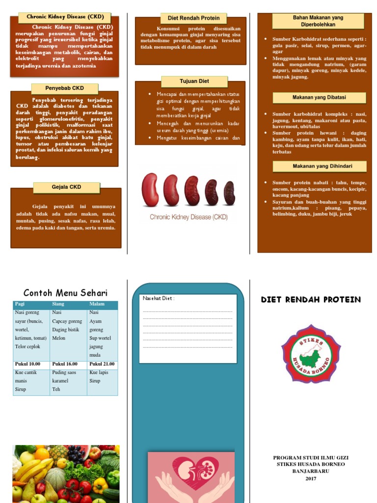 Leaflet Rendah Protein Tn. Sahidin | PDF