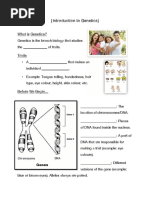 U1W4 The Magic Marker Mystery Study Guide | PDF | General Fiction ...