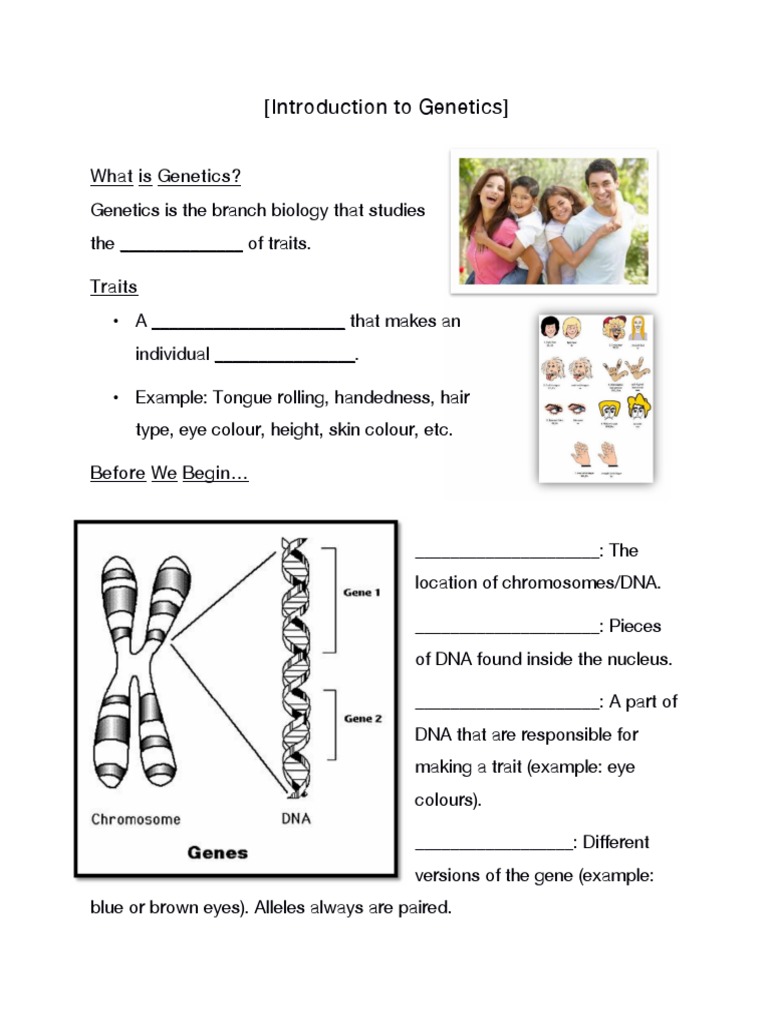 Introduction to Genetics Basics | PDF | Genetics | Dominance (Genetics)