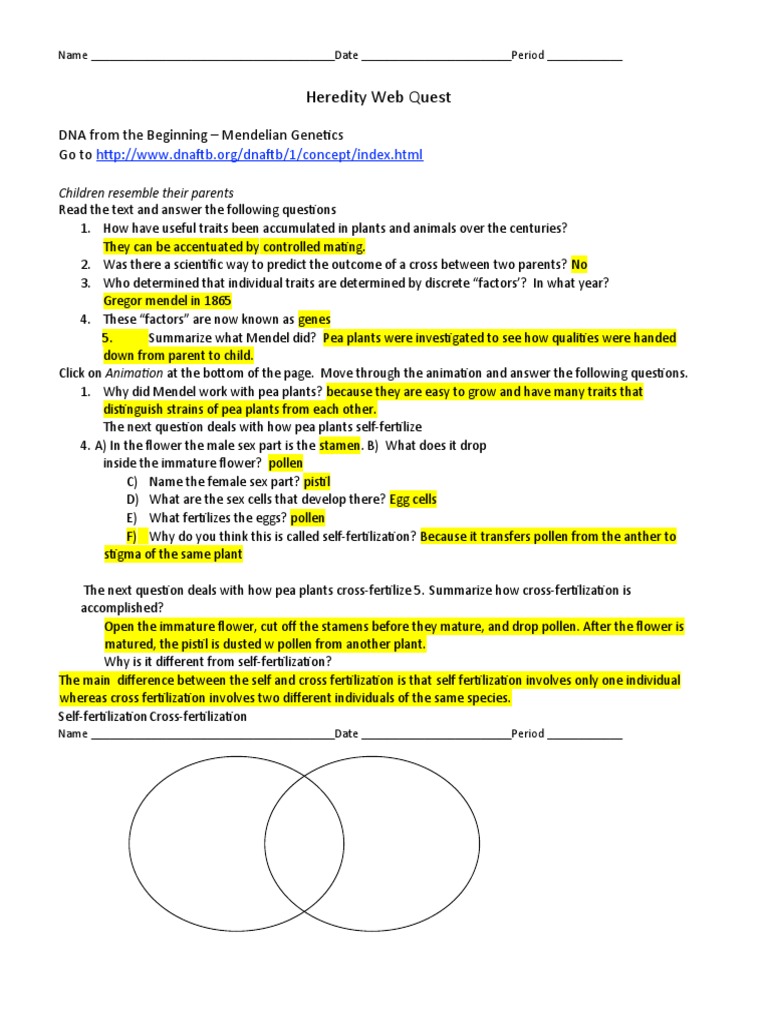 Webquest - Genetics Answers | PDF | Flowers | Genetics