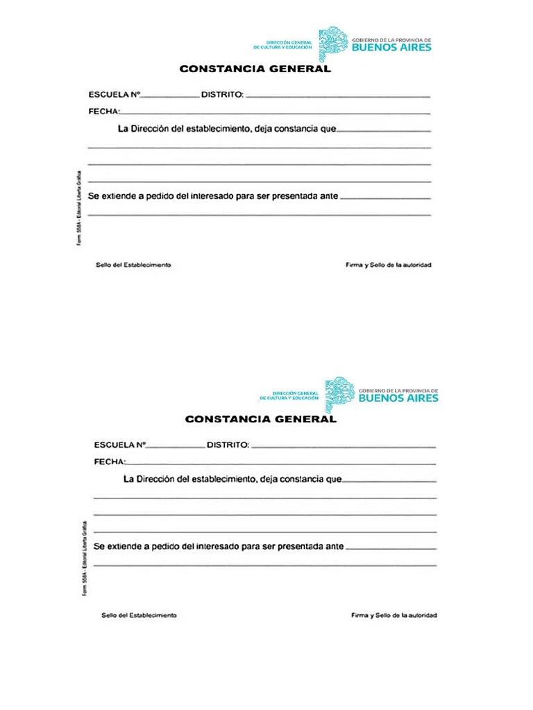 Constancia General | PDF