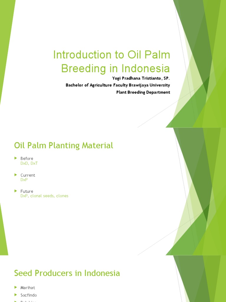 Oil Palm Breeding (Yogi Pradhana Tristianto) | PDF