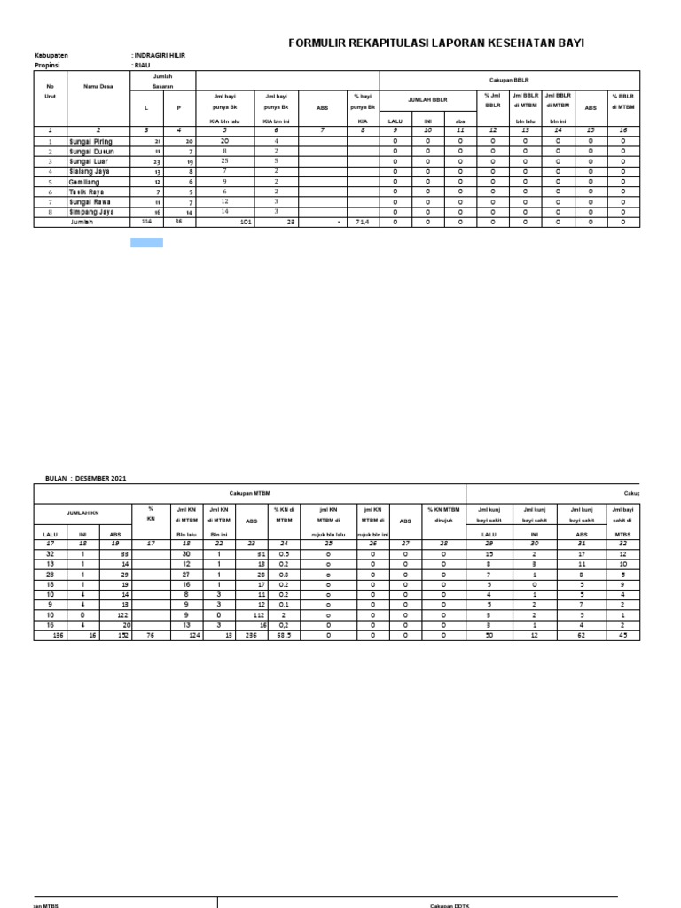 LAP. MTBM, MTBS Puskesmas | PDF