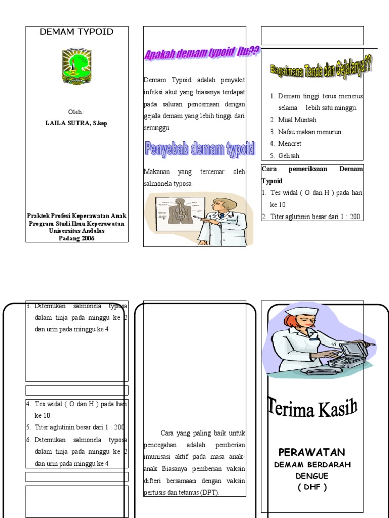 Leaflet Demam Typoid | PDF