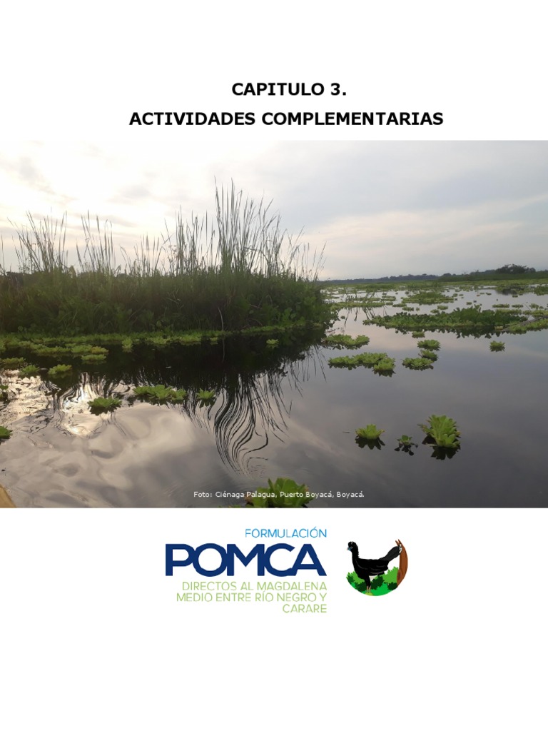 03.actividades Complementarias 2 | PDF | Science