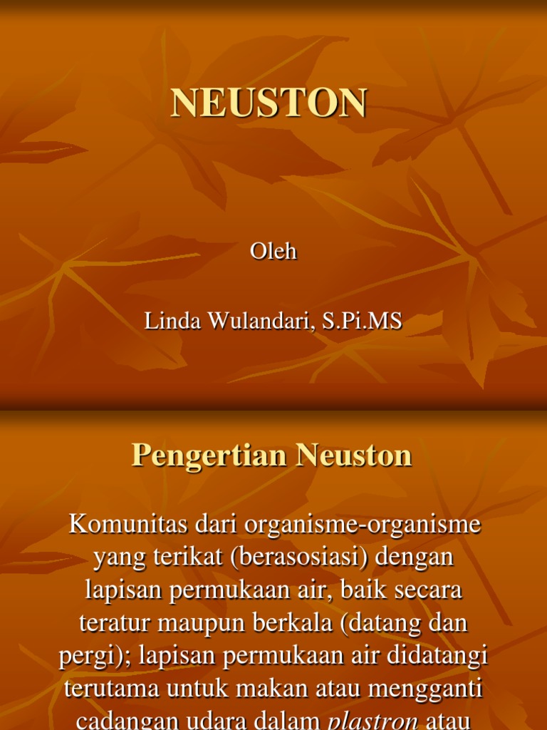 NEUSTON | PDF