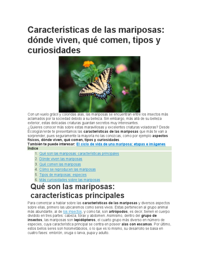 Características y Hábitat de las Mariposas | PDF | Insectos | Zoología