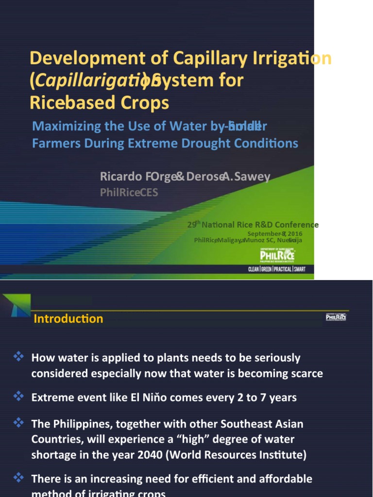 Development of Capillary Irrigation (Capillarigation) System For Rice ...
