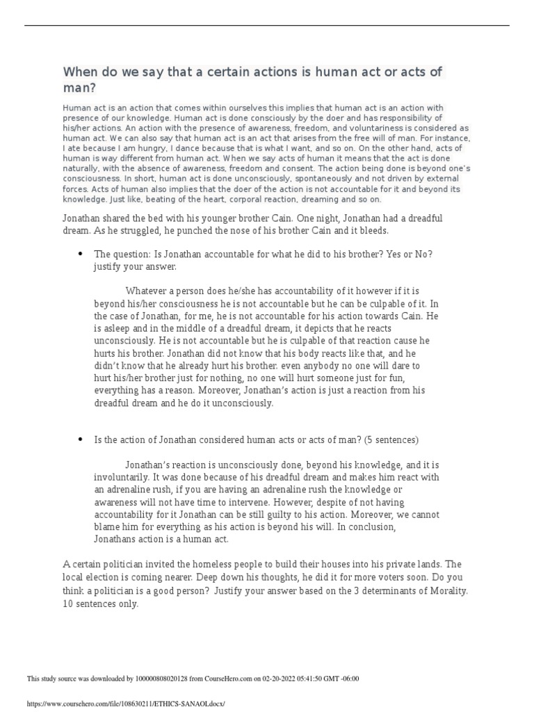 Ethics Sanaol | PDF | Facial Expression | Cognitive Science