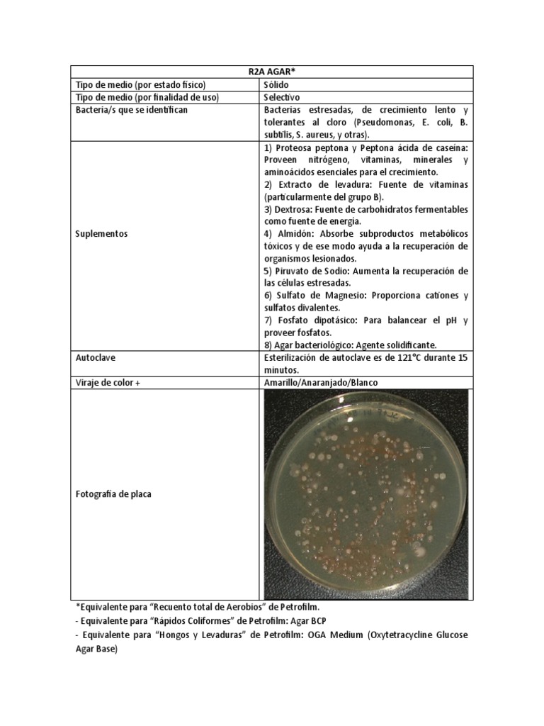 R2a Agar | PDF