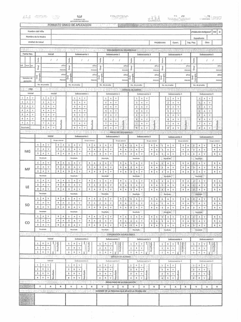 Formato de Aprlicación de Prueba EDI | PDF