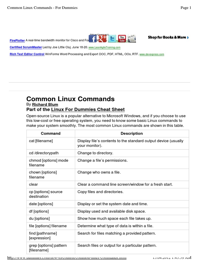 Common Linux Commands - For Dummies | PDF | Computer File | Filename