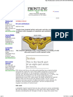 Classroom Butterfly Camouflage Activity | PDF | Camouflage | Mimicry