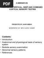 Nottingham Sensory Assessment Guide | PDF | Senses | Somatosensory System