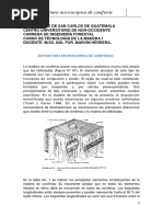 Diferencias entre coníferas y latifoliadas | PDF | Arboles | Hoja