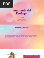 Prospecto NIFURYL | PDF | Infección del tracto urinario ...