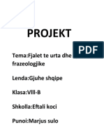 Projekt TIK | PDF