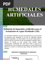 Componentes Del Humedal | PDF | Humedal | Plantas