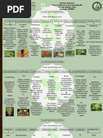 Familia Arecaceae | PDF | Arecaceae | Plantas