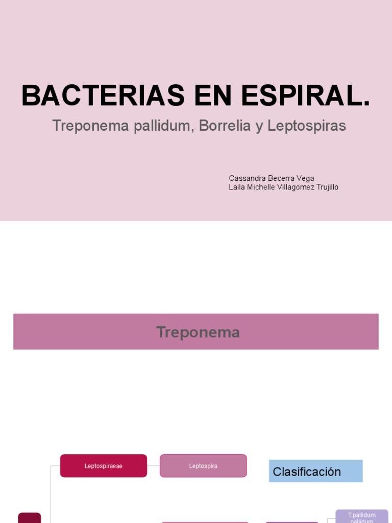 Bacterias en Espiral. | PDF | Epidemiología | Organismos