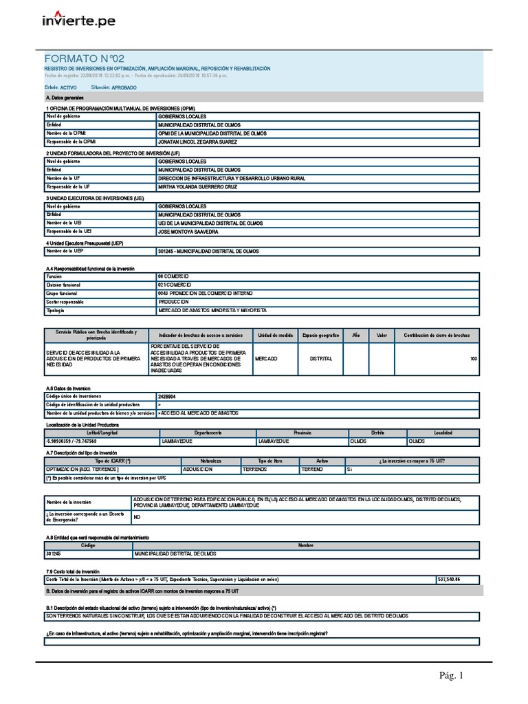 Formato N°02 | PDF | Inversiones | Economias