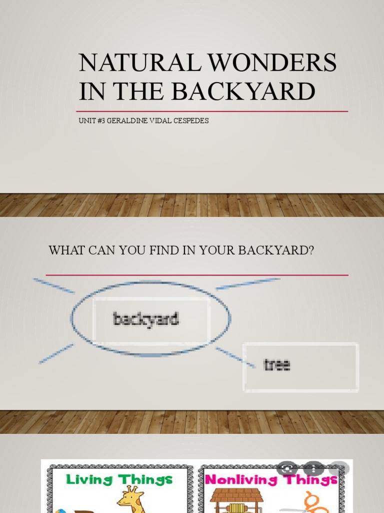 Natural Wonders in The Backyard Unit 3 | PDF