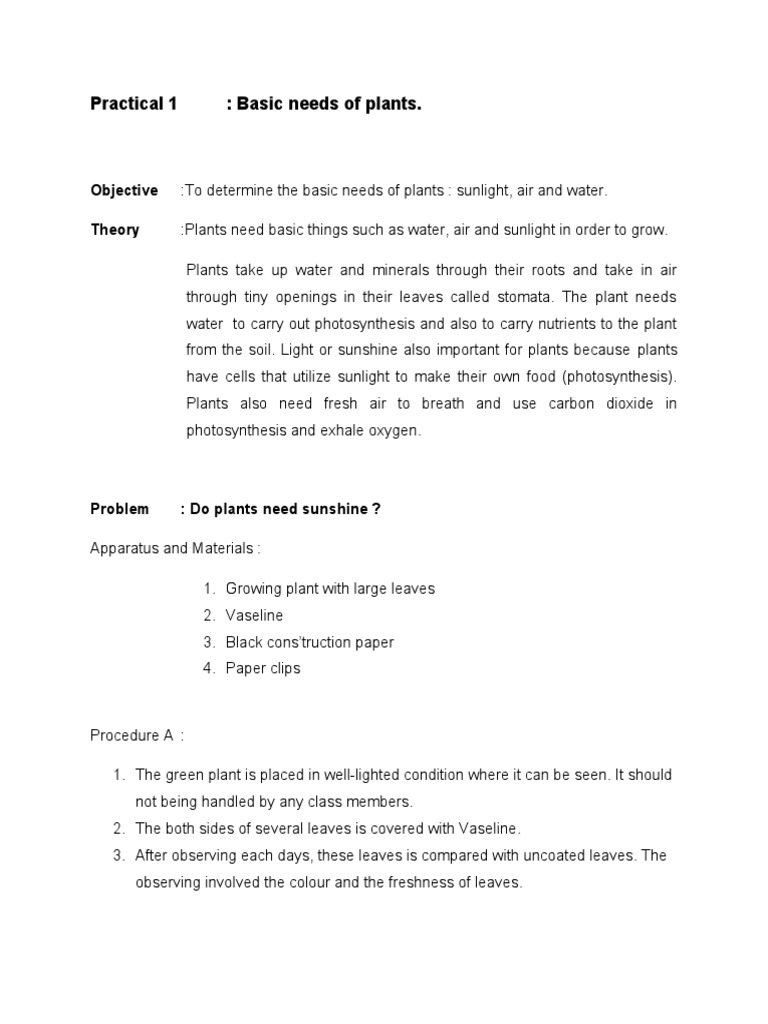 Basic Needs of Plants: Sunlight, Water, Air | PDF | Plants | Leaf