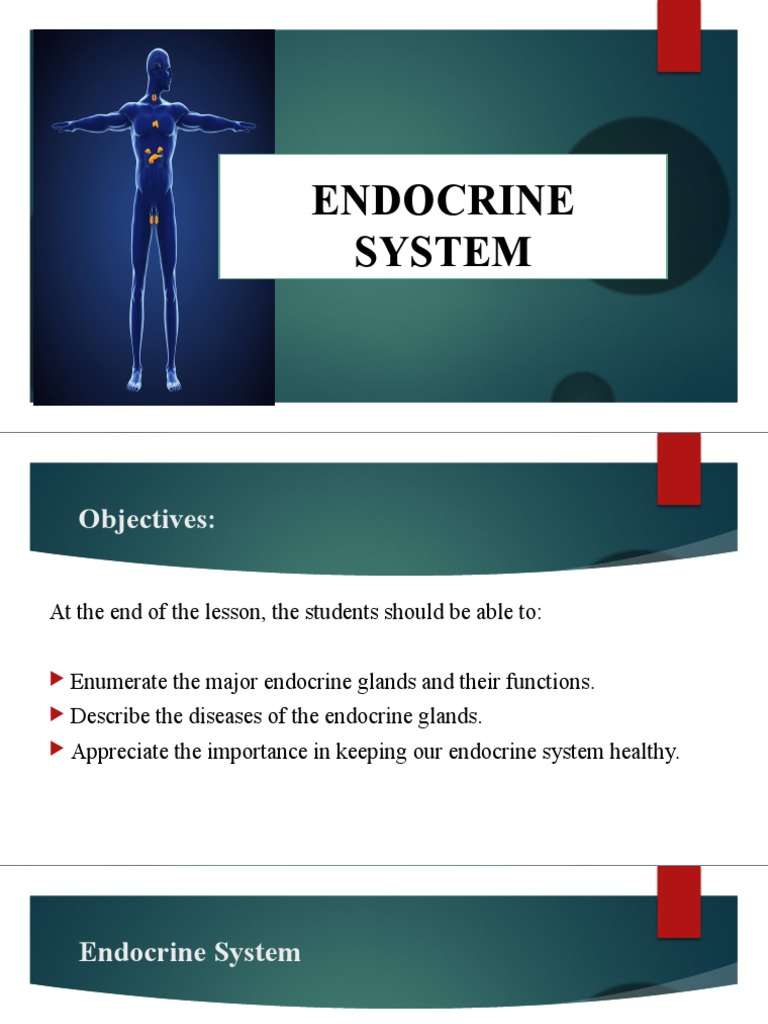 Endocrine System | PDF | Endocrine System | Hormone