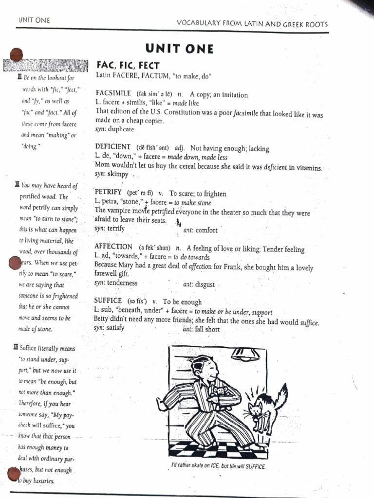 Latin and Greek Roots Vocabulary Unit 1 | PDF | Language Arts & Discipline