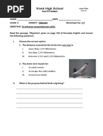 Holiday Homework UKG | PDF