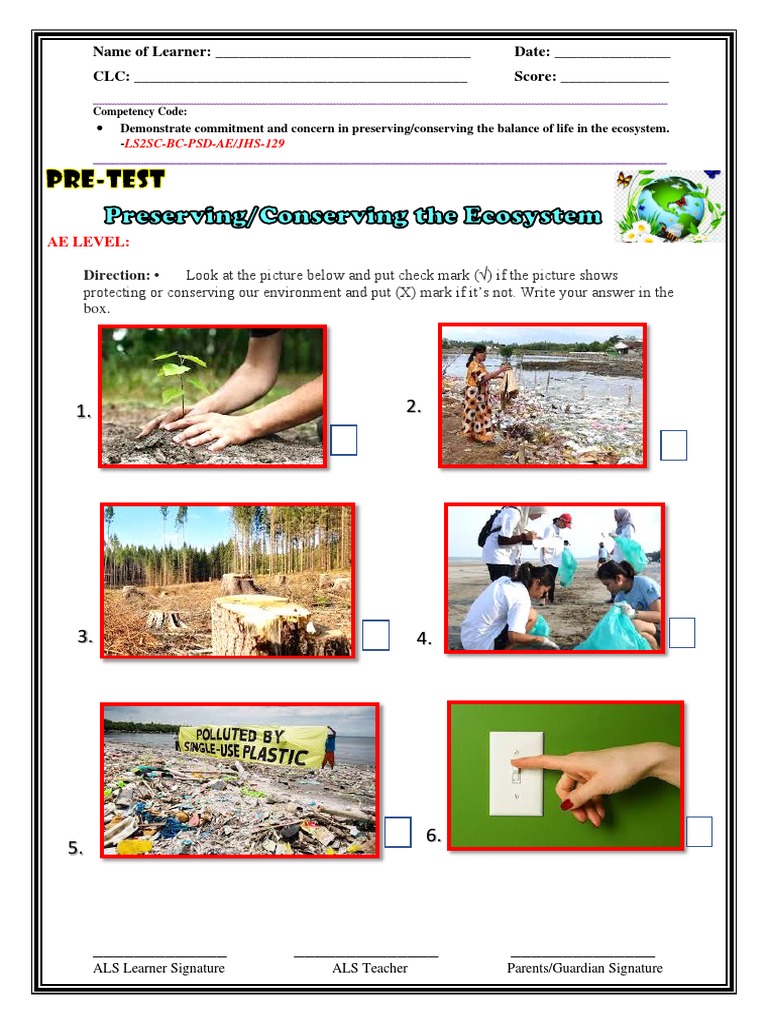 Ecosystem Conservation Worksheet for Grades 5-6 | PDF | Mangrove ...