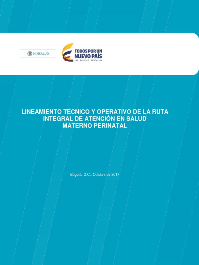 Lineamiento RIA Materno - Perinatal | PDF | Ciencias de la Salud