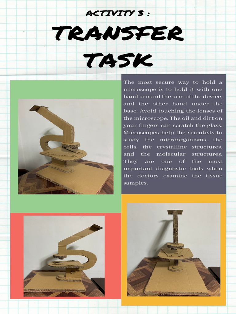 Activity 3 - Transfer Task | PDF