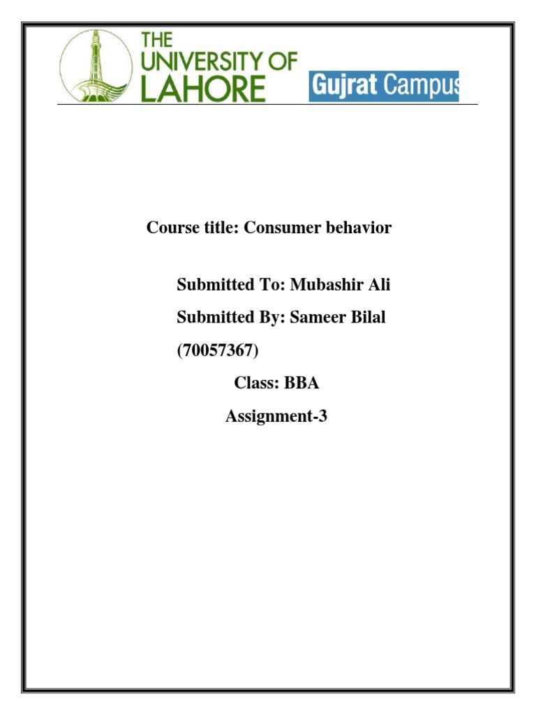 Consumer Behaviour Assignment 3 | PDF | Business
