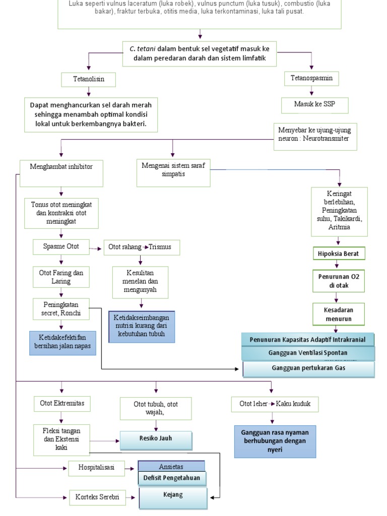 Pathway Tetanus 2 | PDF