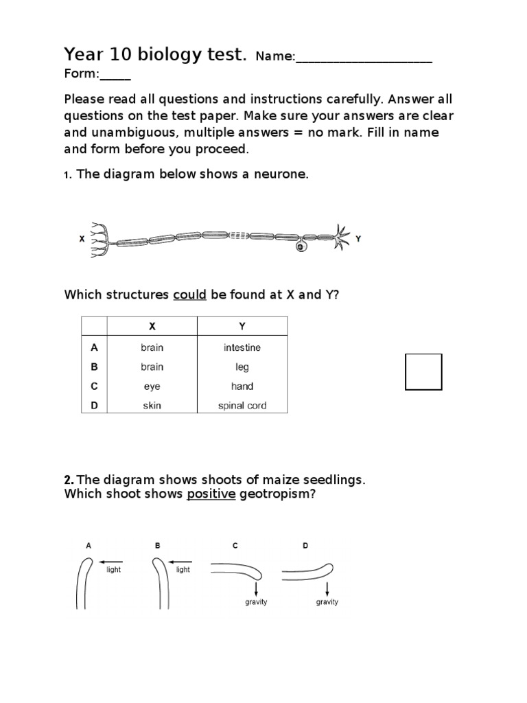 Year 10 Biology Test | PDF | Plant Hormone | Plants