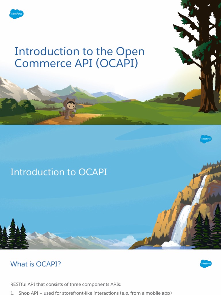 Open Commerce API | PDF | Hypertext Transfer Protocol | Cyberspace