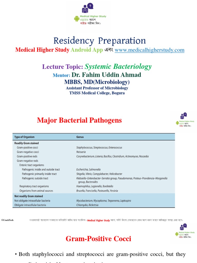 Systemic Bacteriology | PDF | Streptococcus | Mycobacterium