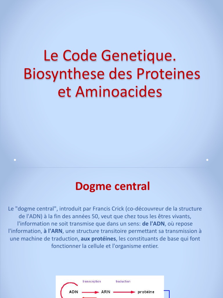 Synthèse des protéines et code génétique | PDF | Acide ribonucléique ...
